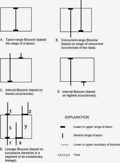 The Coastal Paleontologist: How should we report the age of fossils ...