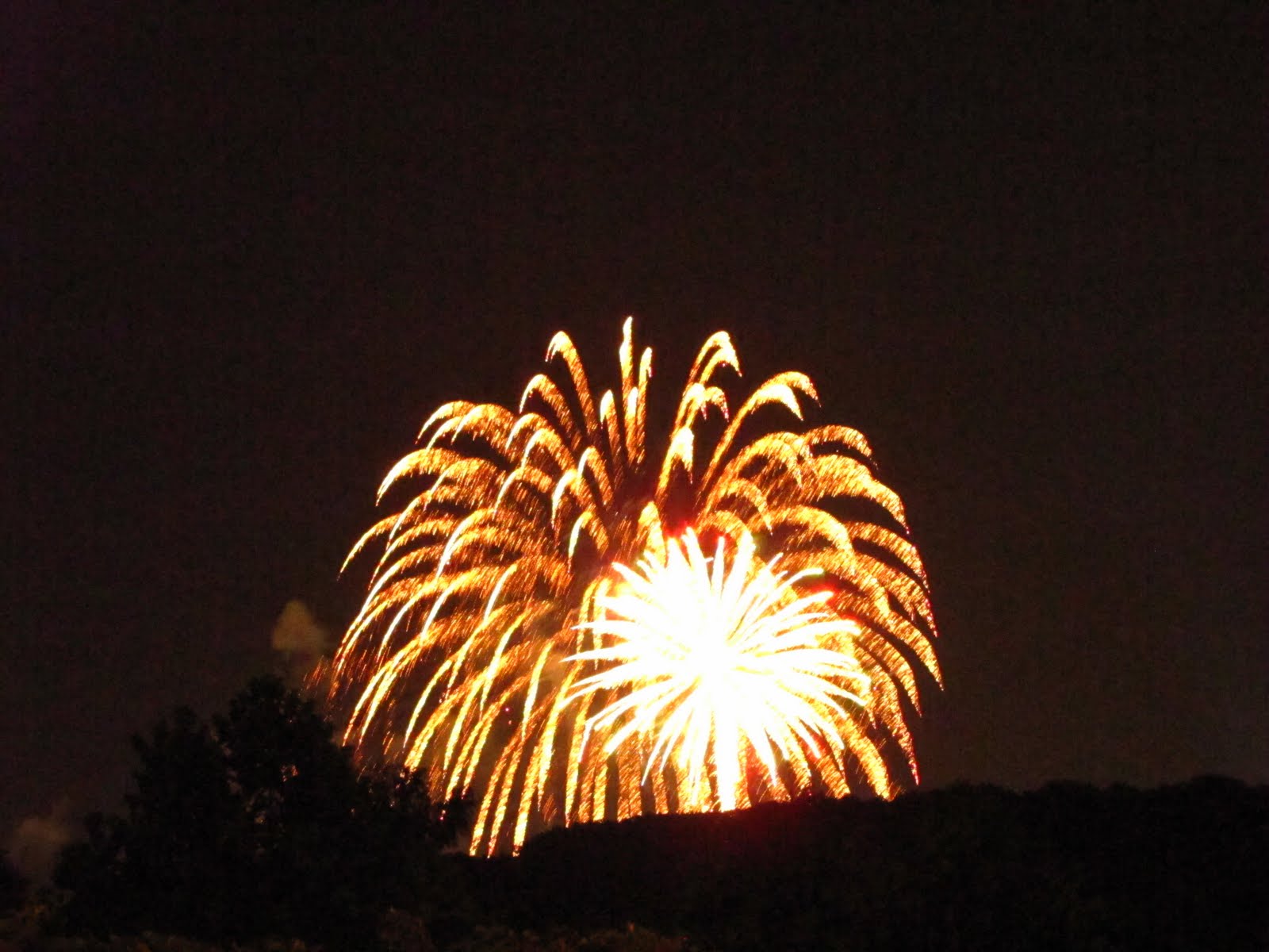 Photos of the Day: The Circus & Fireworks