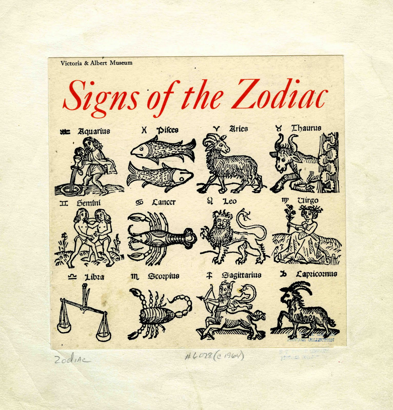 A is for Aye-Aye: An Abecedarian Adventure: The Romance of Roentgen: X ...