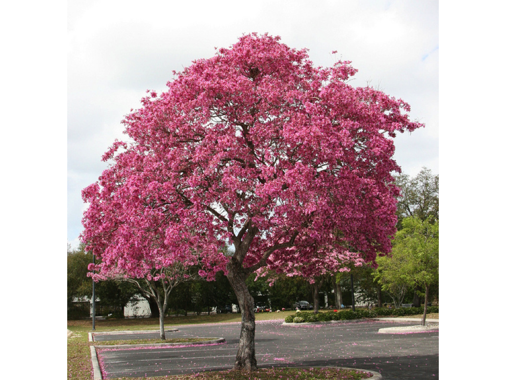 WEST END COTTAGE: June 2013