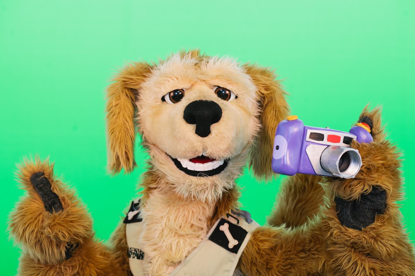 ZOOMOO, THE WORLD’S FIRST INTERACTIVE KIDS CHANNEL DEVOTED ENTIRELY TO ...