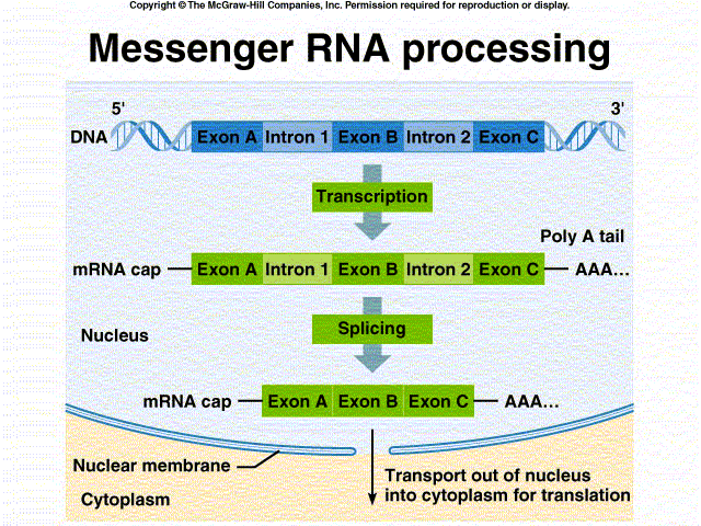 As Many Exceptions As Rules: Covering All Our Bases