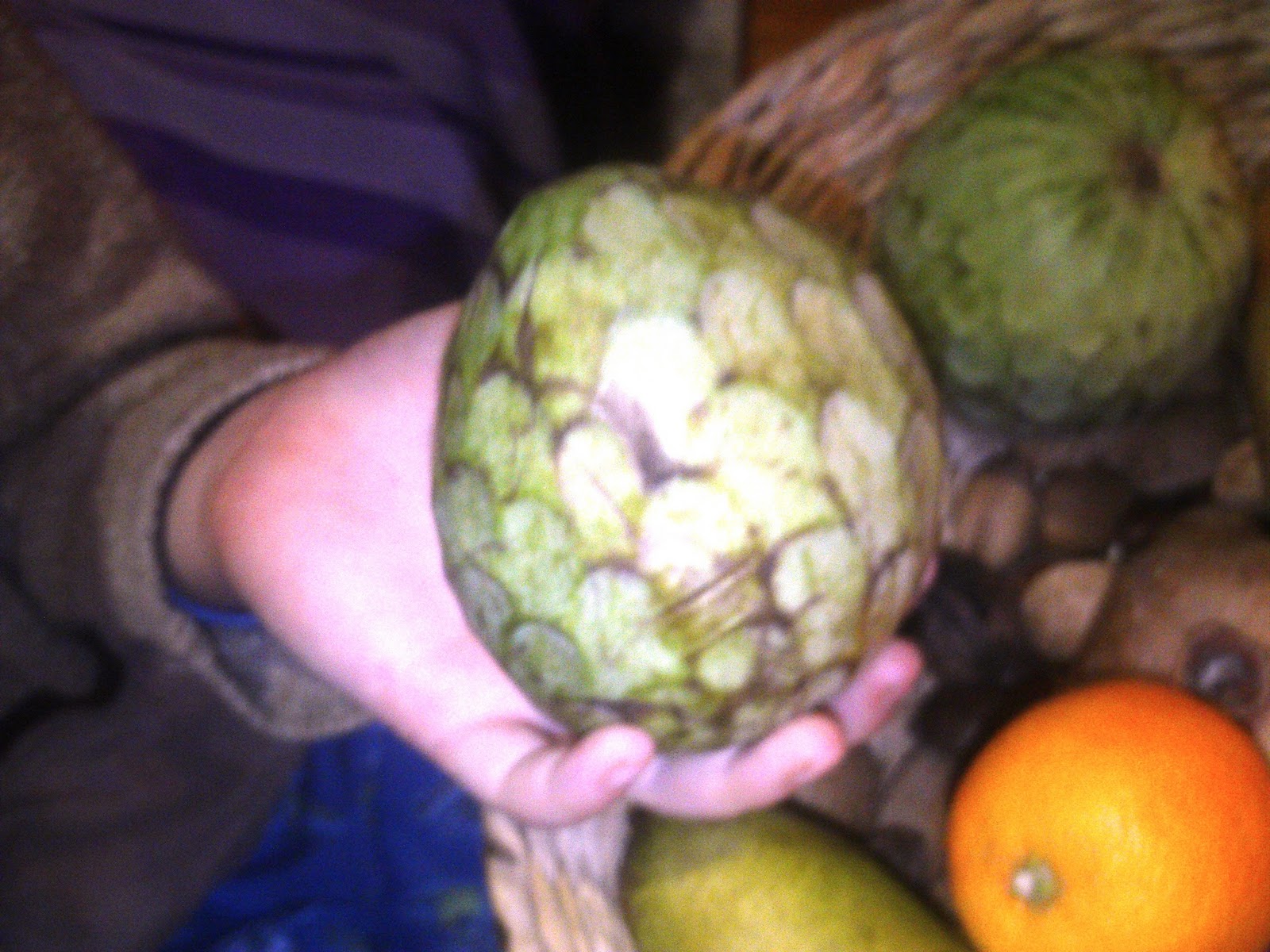 PAU: La tardor m'agrada!