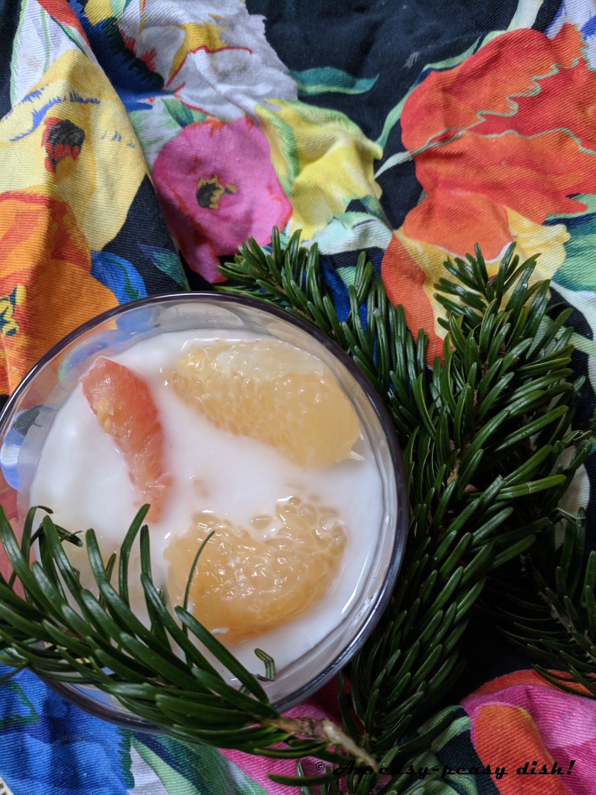 CITRUS FRUITS SOUP WITH COCONUT MILK - Easy-peasy dish...