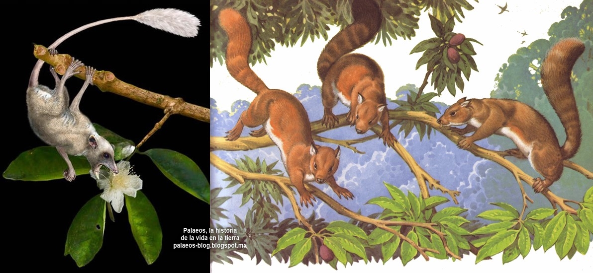 Palaeos, la historia de la Vida en la Tierra: Notas cortas ...