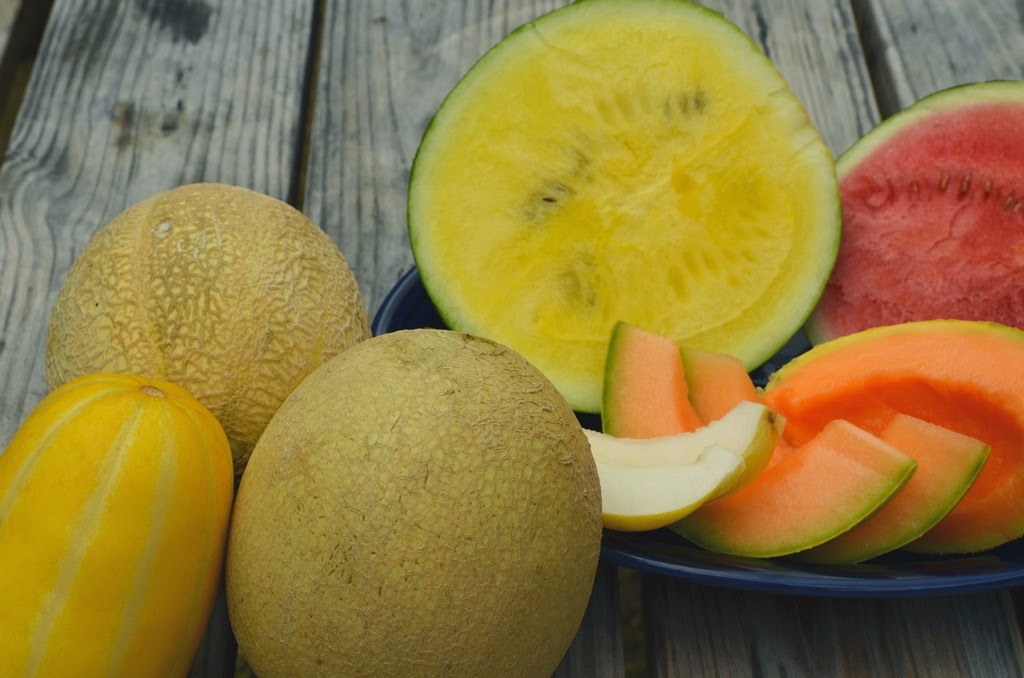Harmony Valley Farm: Featured Item of the Week: Melons