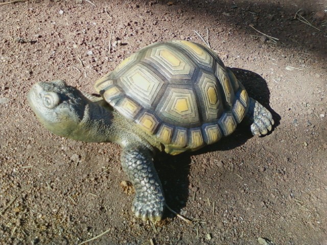 Sapphire Dawn Studio: Ceramic Desert Tortoise