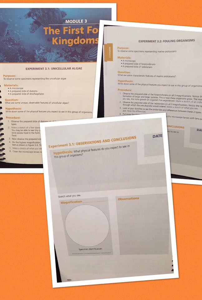 Homeschool Happenings: Apologia Science ~ A Review