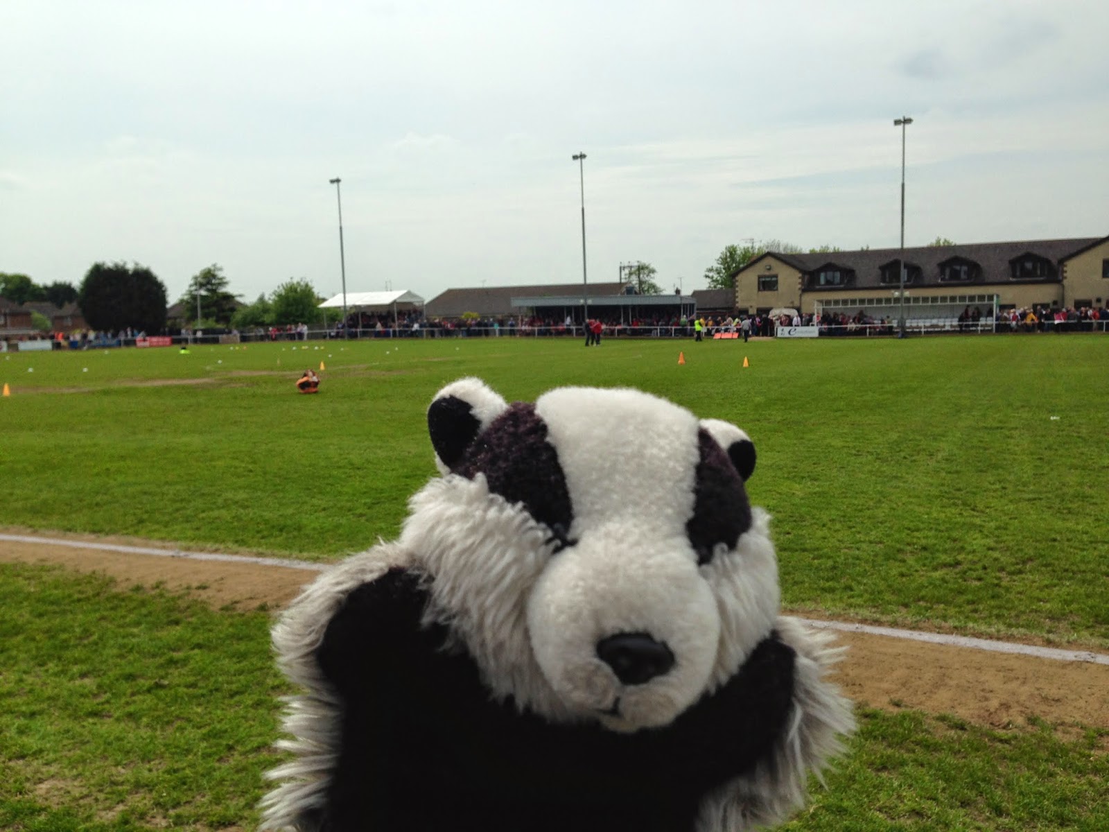 The Mowdog On The Road...: Kettering Town 2 Slough Town 3: general ...