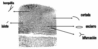 Métodos o sistemas de Identificación Humana: Requisitos de Calidad de ...