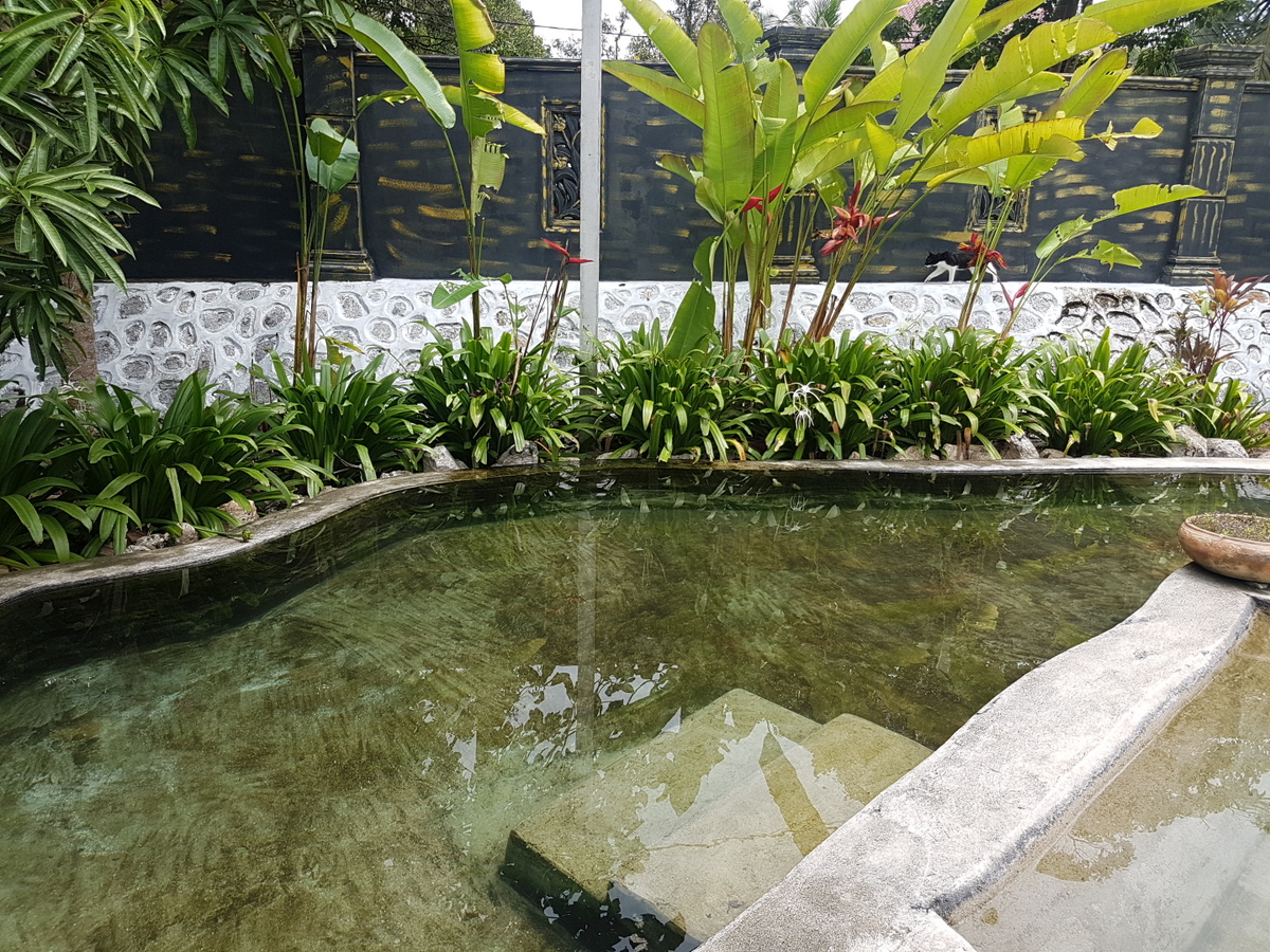 Travelholic: Cholo Cholo Hot Spring in Batang Kali