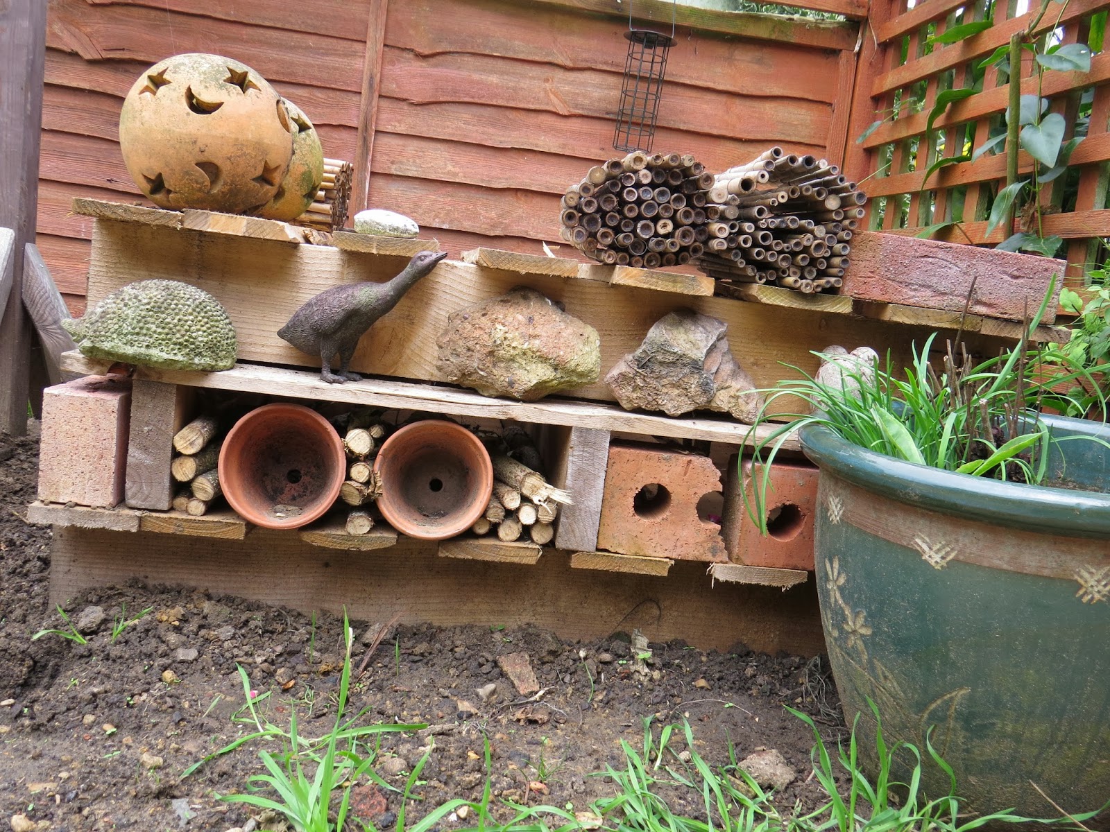Appleton Wildlife Diary: Bug mansion