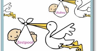 The Original Utah Baby Namer: Introduction