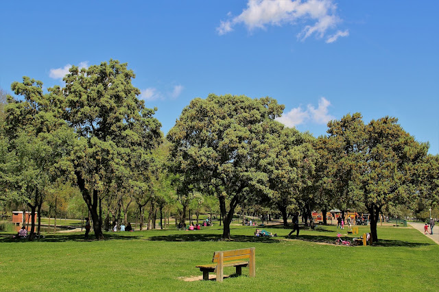 Conoce Sevilla y sus cosas: Parque del Alamillo