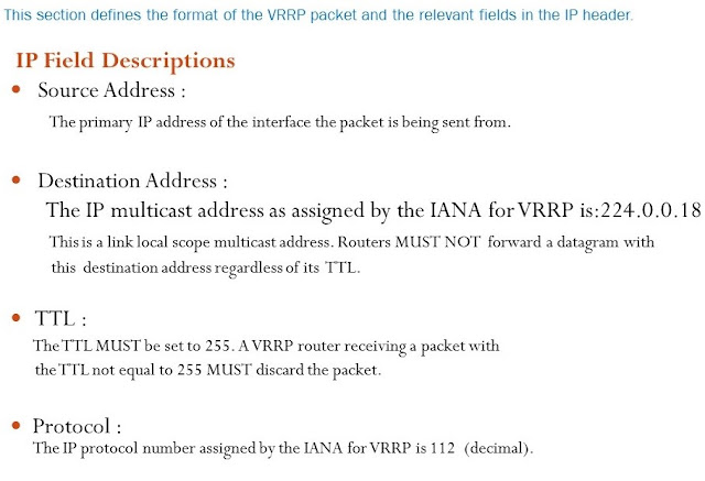 Networking And Scripting : Packet Formats to Remember