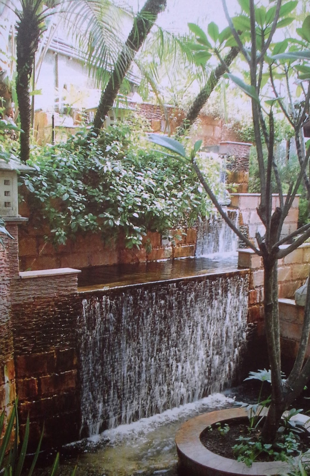 TAMAN MEDIA TERAPI DAN PENYEMBUHAN