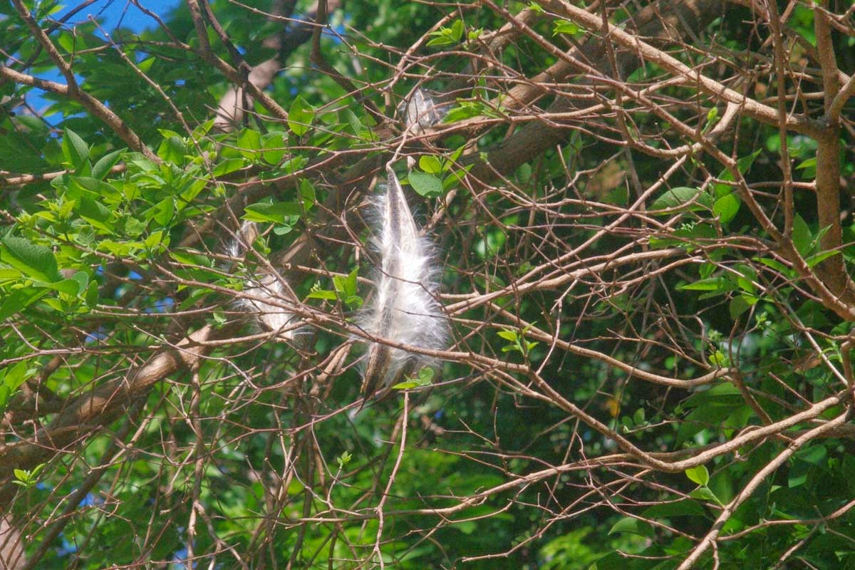 Steve & Marcia on the Rock: Corregidor Journal: May 2014