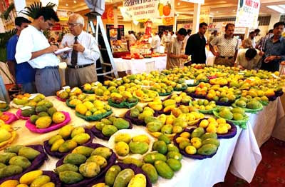 Pakistani Mangoes