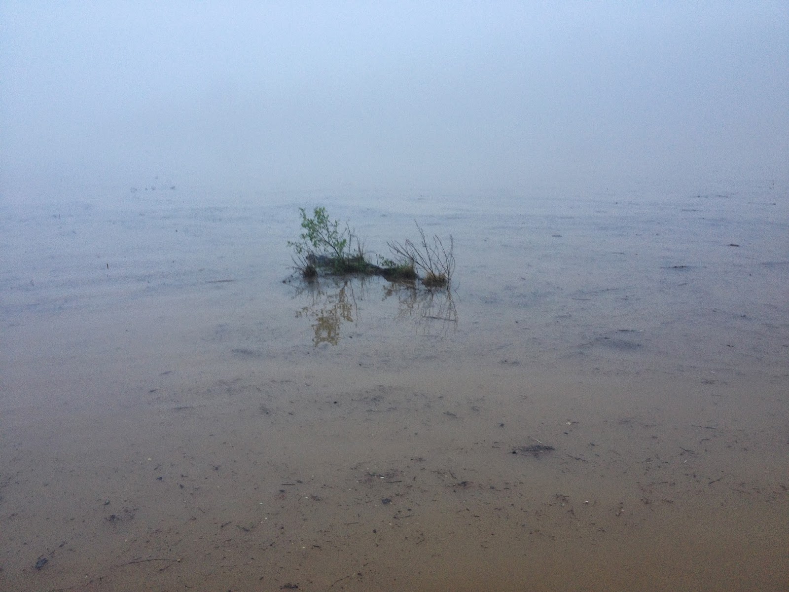 Lake Anna Striper Guide Journal: Lake Anna is a Wreck!