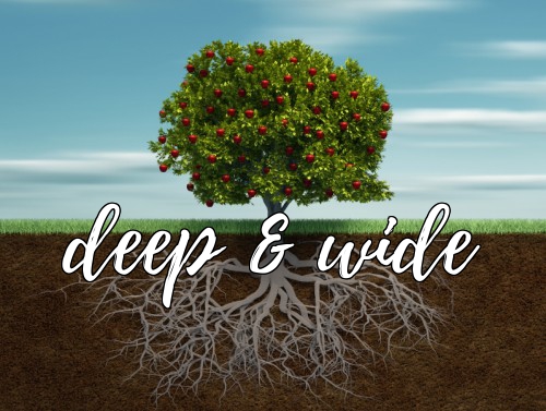 Missions: Go Deep or Go Wide? (Part 1)