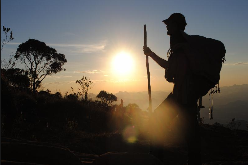 PEREGRINO50: PEREGRINO (II)