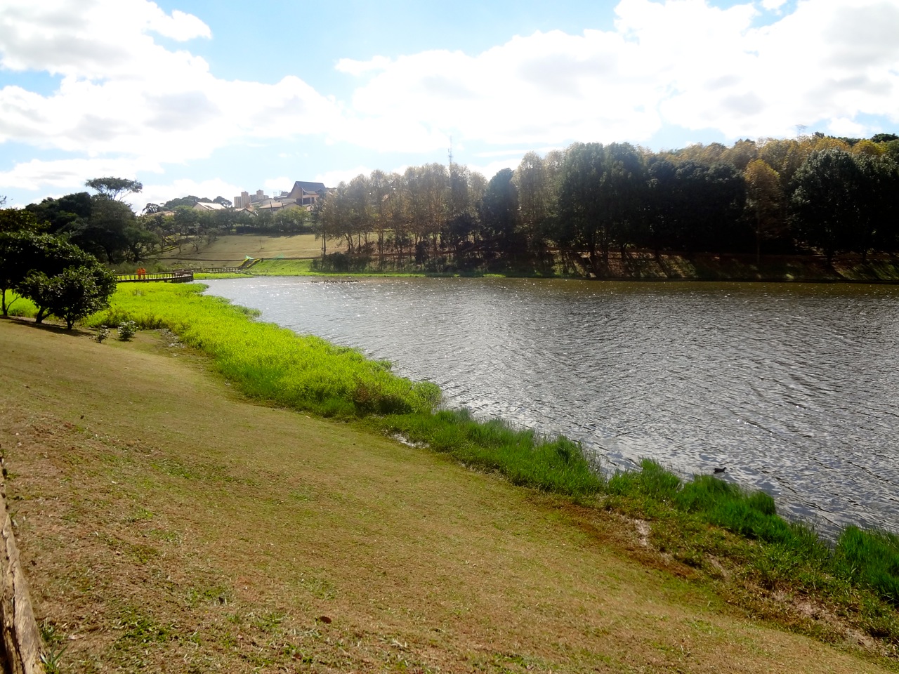 Parque Cidade de Toronto em São Paulo ~ Áreas Verdes das Cidades - Guia ...