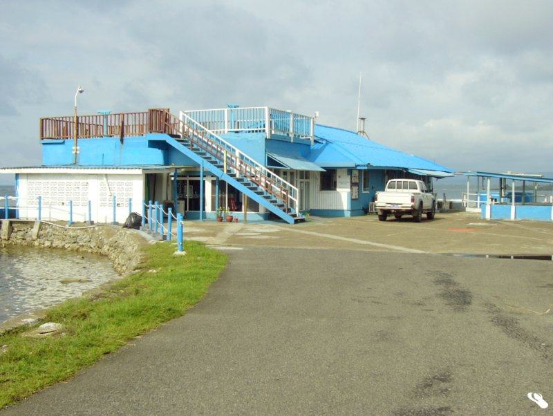 Los Manglares De Punta Galeta Por Estudiantes De Udelas La Carrera De ...