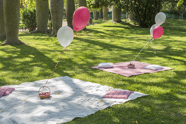 La chica de la casa de caramelo: El segundo cumpleaños de Miranda ...