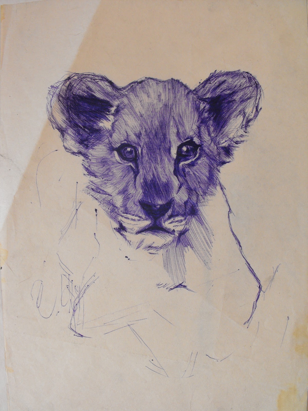 Characters, comics, ilustratii - Florin Gradinaru: Schite desene ...