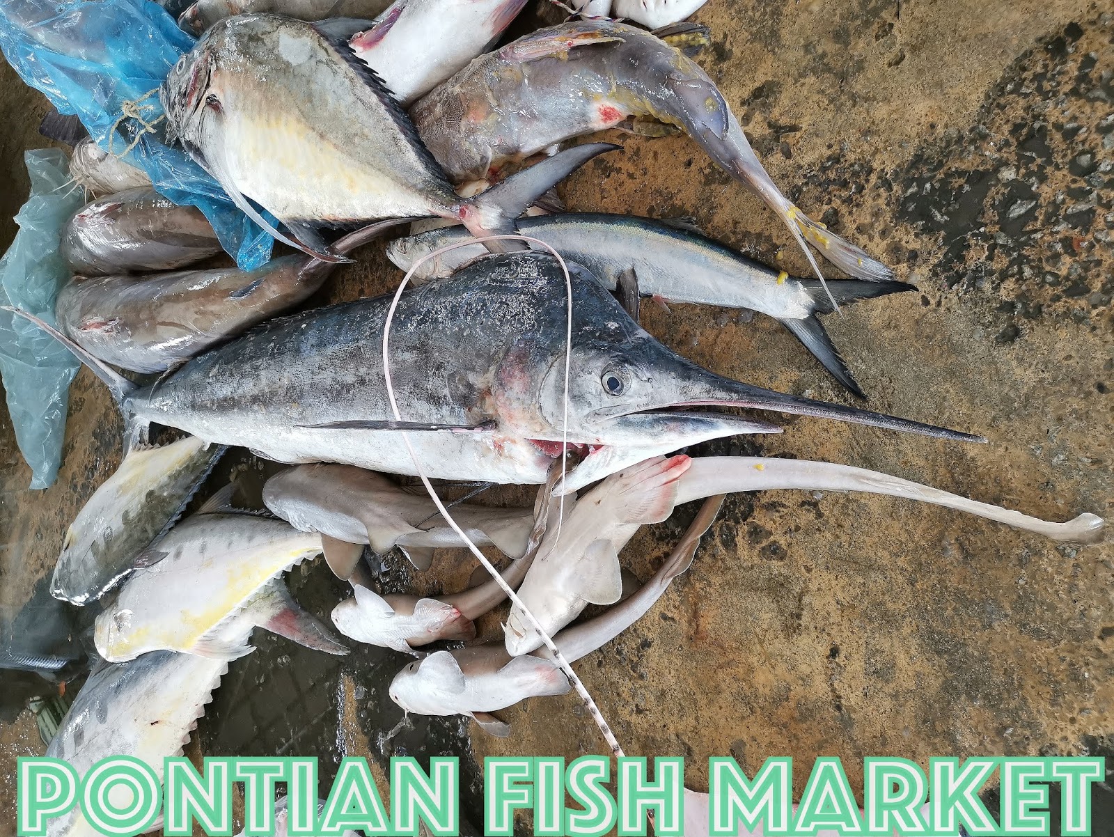 Pontian Best Food to Eat for your Johor Foodie Adventure |Tony Johor ...