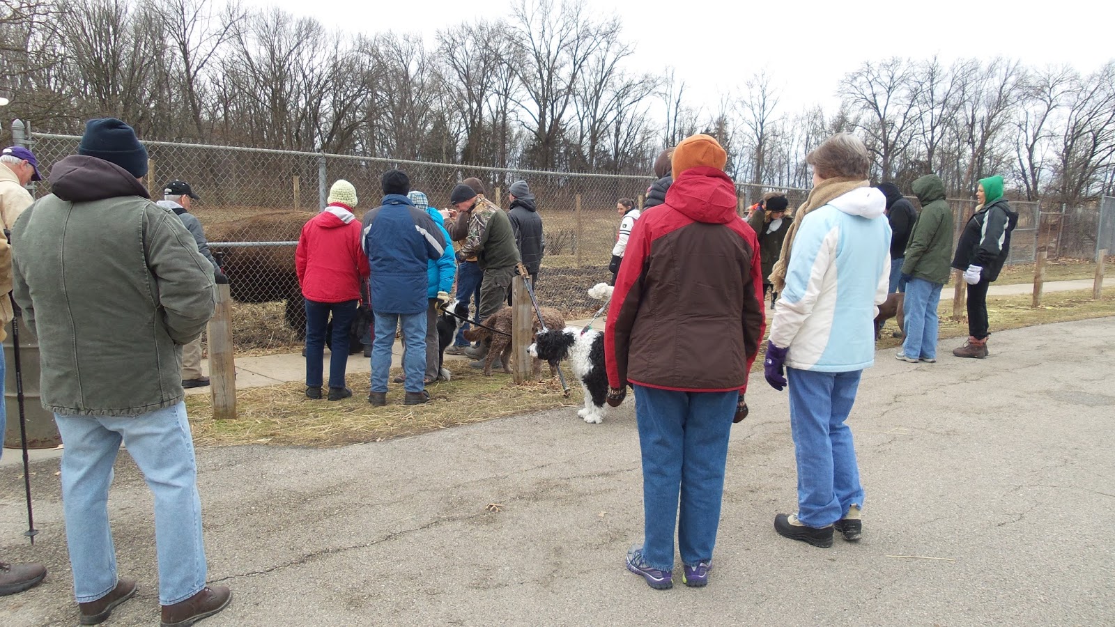 Hike Starved Rock: Buffalo Rock State Park 02-25-2016