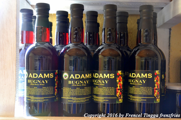 Frenz Fries: Adams, Ilocos Norte