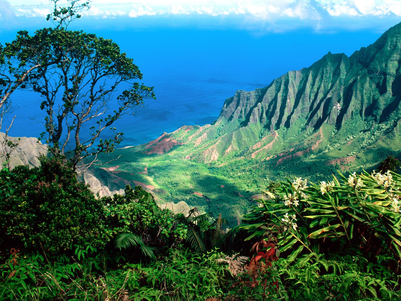 Destinations: Heavenly Hawaii: Dos and Don'ts