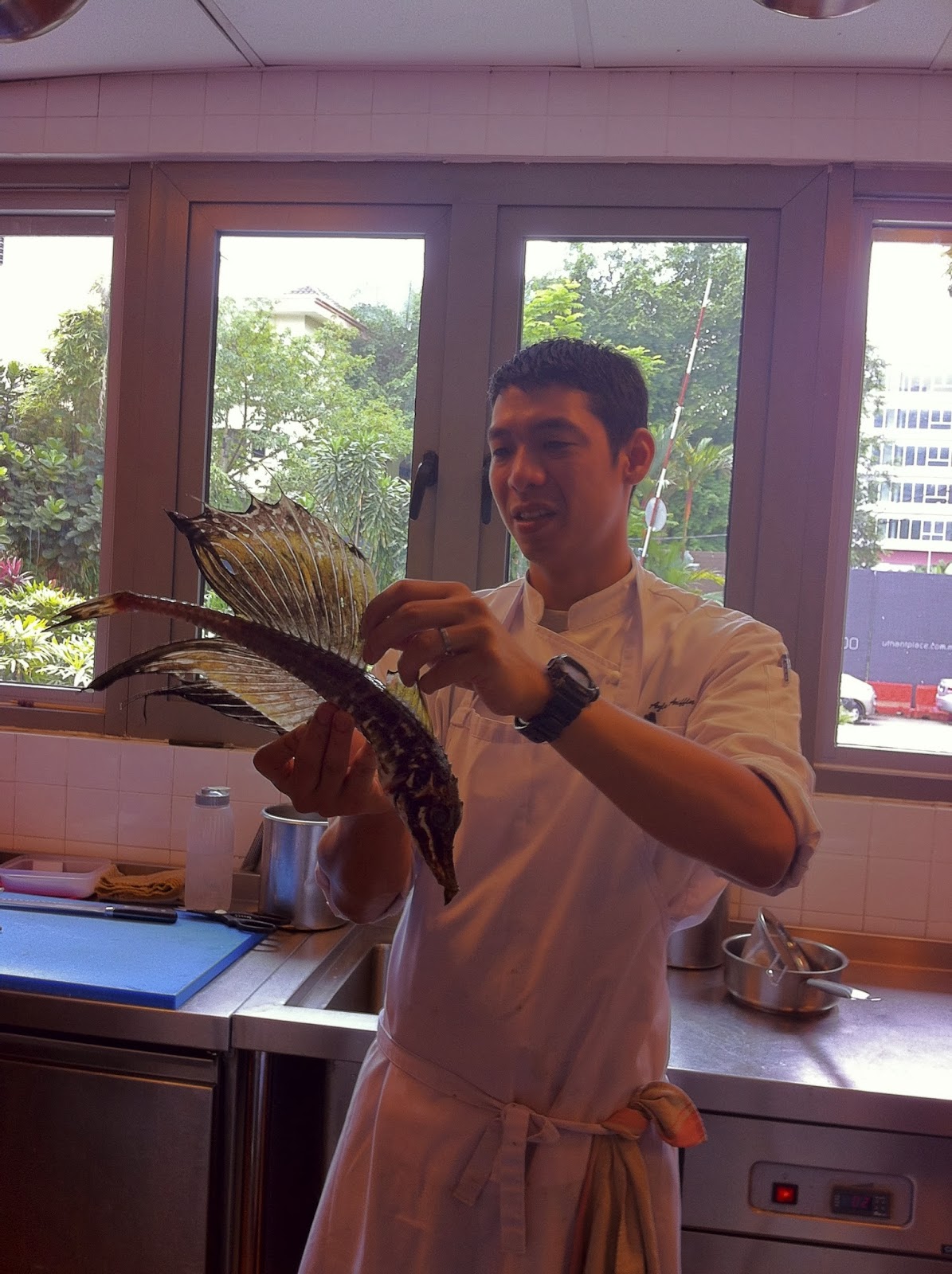 Hakkaku (sailfin poachers)