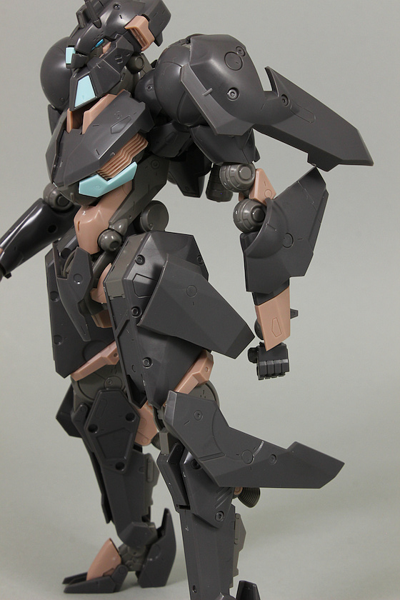 [ Review ] - Frame Arms 1/100 - Shadow Tiger
