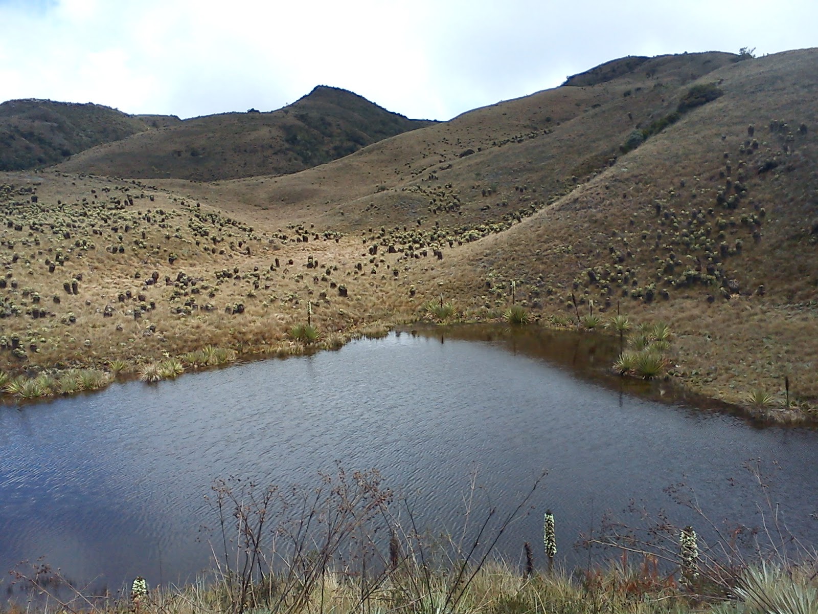 Excursión Tocancipa/Cuenca alta del Rio Bogotá