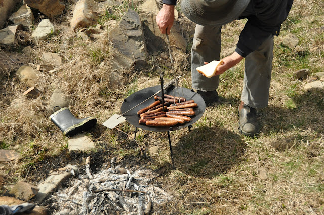 Imagery from Life: A Bush Barbecue