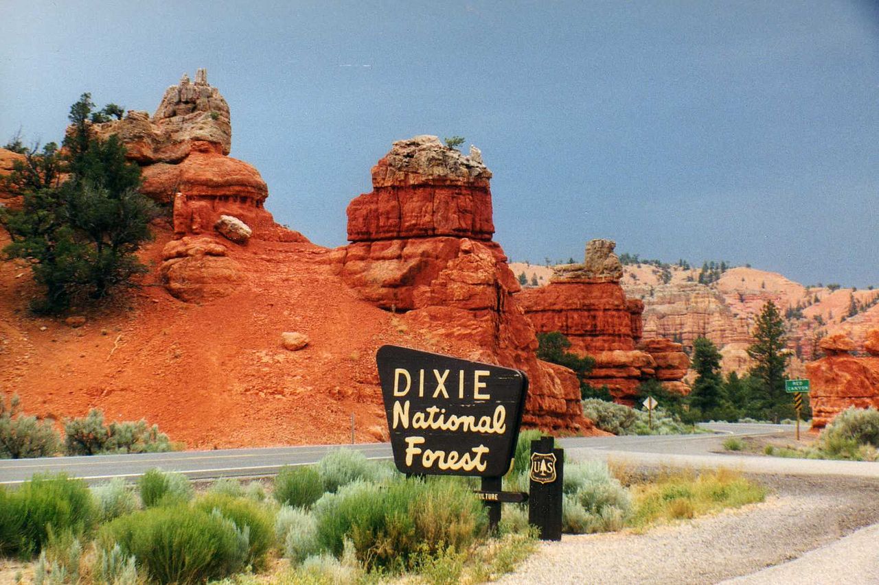 Dixie National Forest Utah | NATURE OF THE WORLD