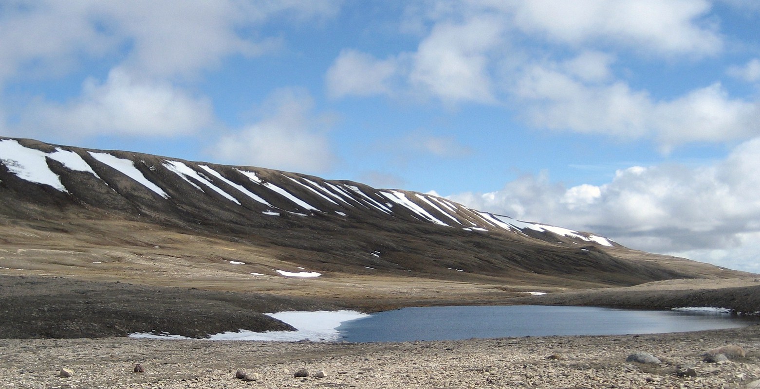 O LIVRO DE AREIA: Ulukhaktok (Holman), aldeia inuit com arte na llha de ...