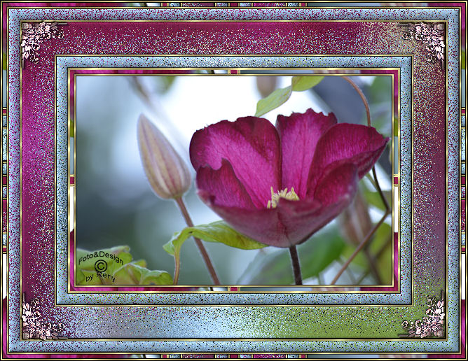 Renys Tutoriale: Clematis