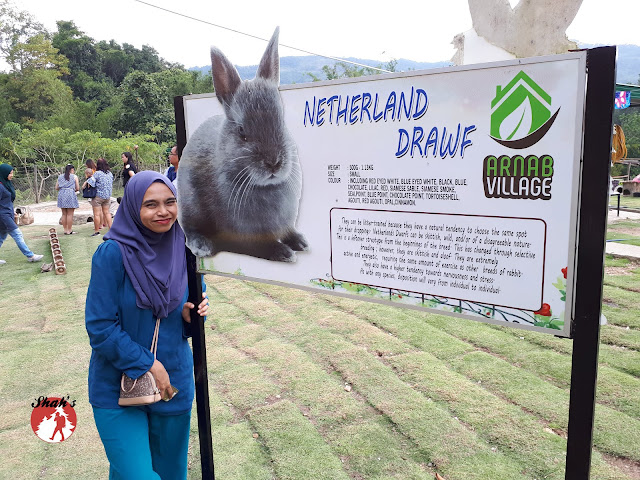 Shah's Travel Diary: Terokai Kundasang Part 5 - Arnab Village, Ranau Review