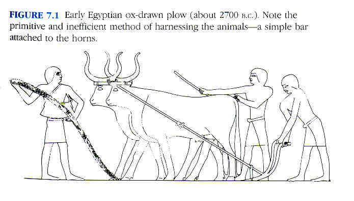 SciecoTicS: Inventions Through Time Part Two