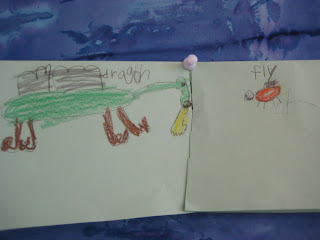 Finally in First: Compound Words