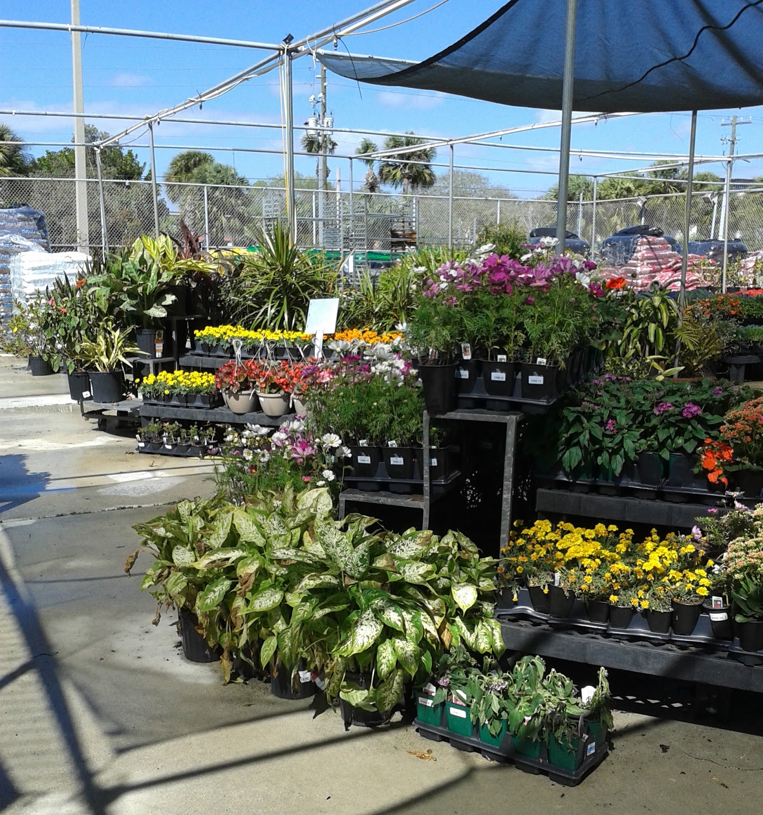 My Florida Retail Blog: Kmart #3381 - Fort Pierce, FL (Pre-Closure)