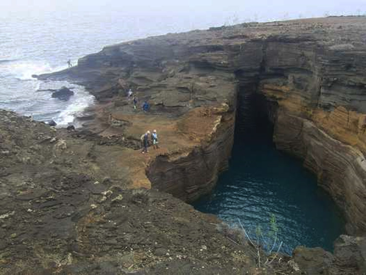 CANARIAS EN EL SIGLO 21: ALEGRANZA, LA ISLA NATURAL
