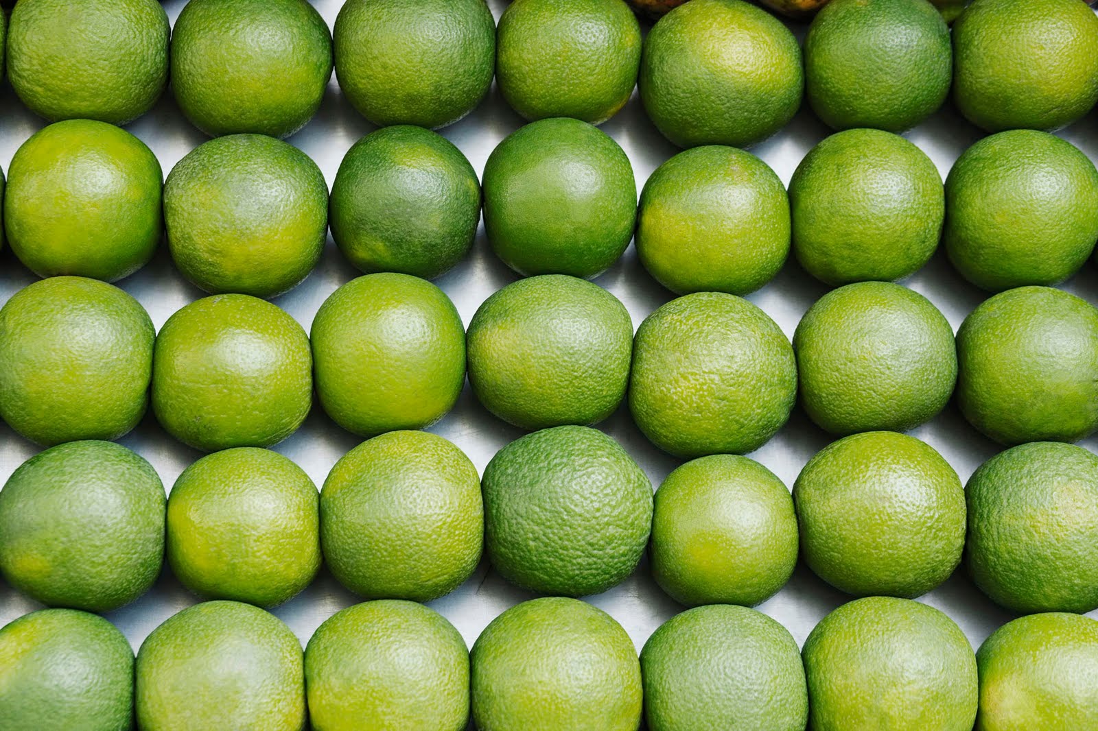 Wallpaper - Photo and Images