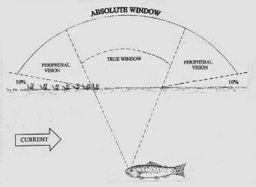 Fly Fishing with Doug Stewart: How fish see a surface fly..