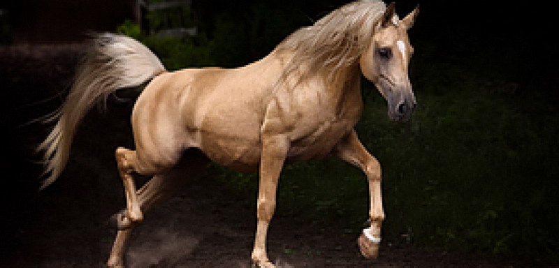 Historia y evolución de la pintura artística : Espectaculares Imágenes ...