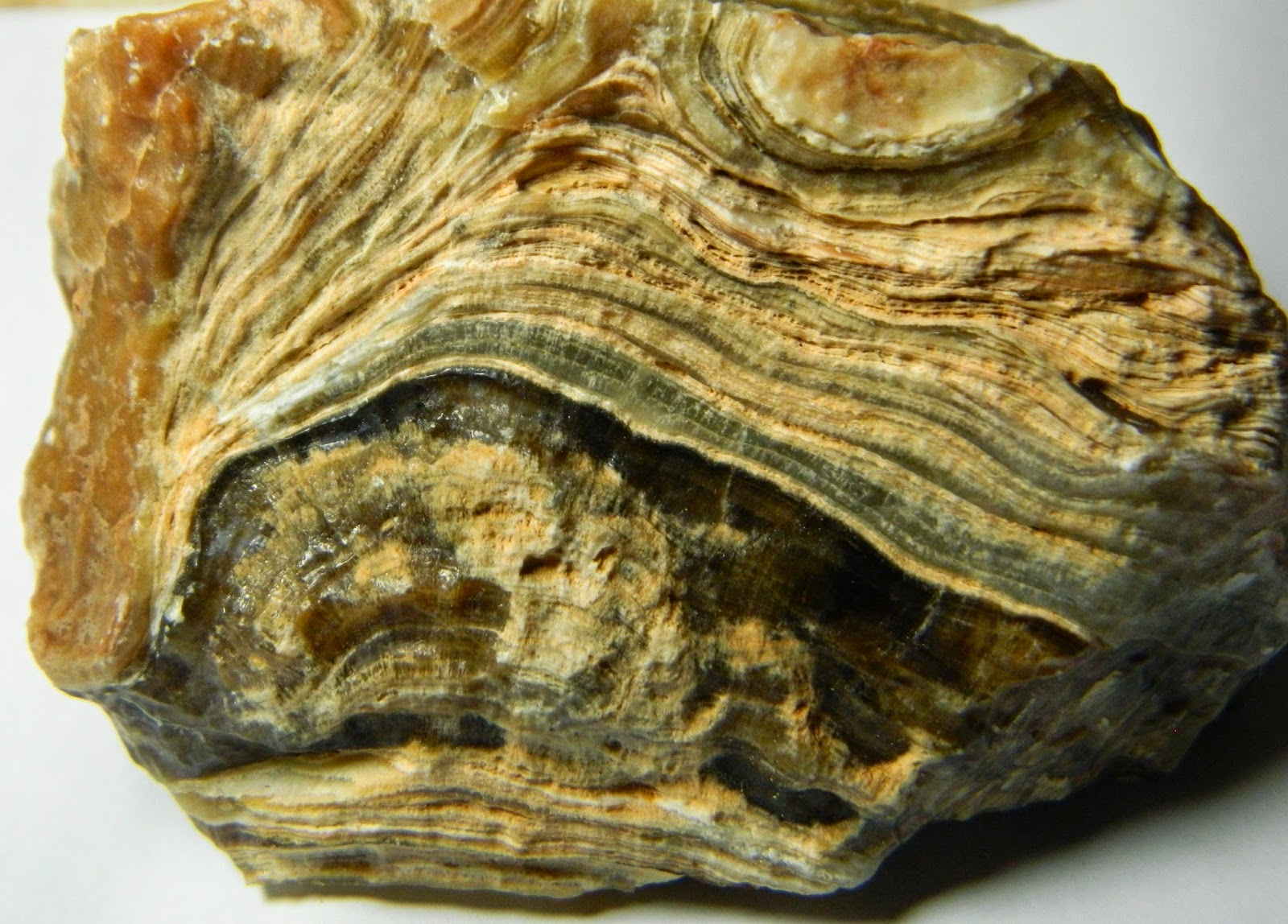 CSMS GEOLOGY POST: CHASING ARIZONA ONYX
