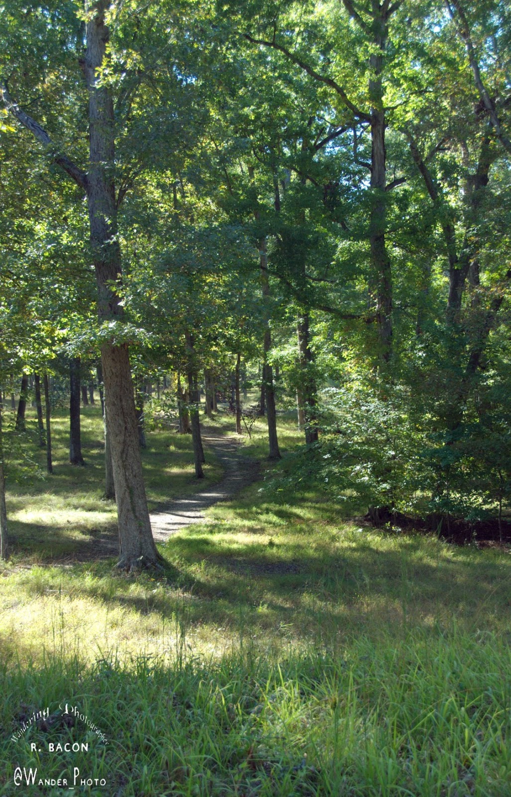 Wander Photo: Shiloh: Battles, Indians, and Monuments to Death